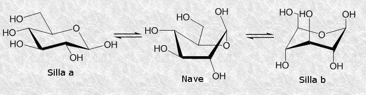 Monosacáridos: qué son, características, funciones, ejemplos