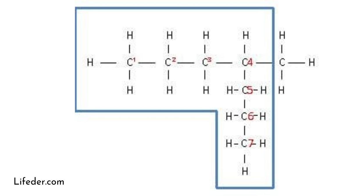 Alcanos ramificados: qué son, estructura, propiedades, ejemplos