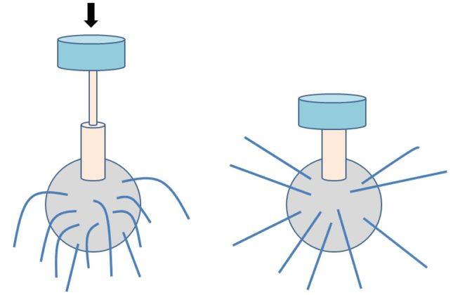 Principio de Pascal: historia, aplicaciones, ejemplos