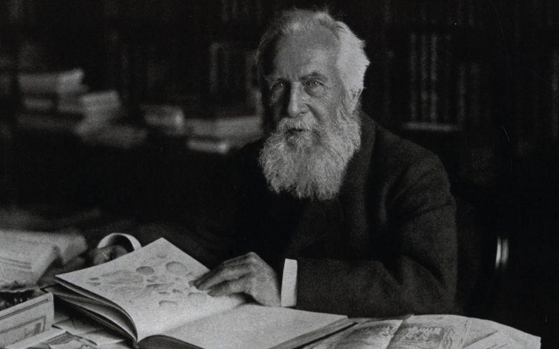 Ernst Haeckel: quién fue, biografía, clasificación de seres vivos, aportes