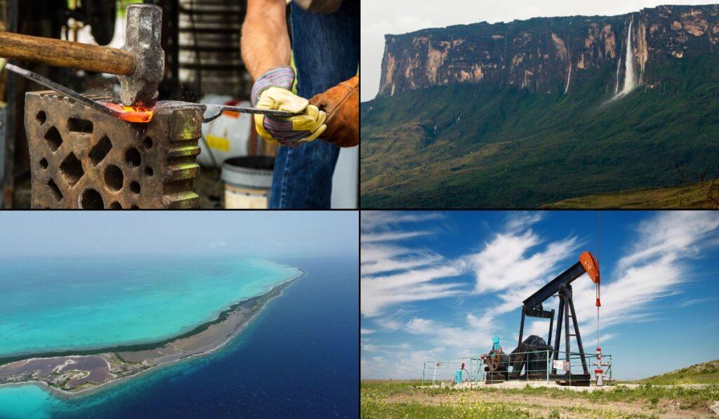 ¿Cuáles son los recursos naturales de Venezuela?