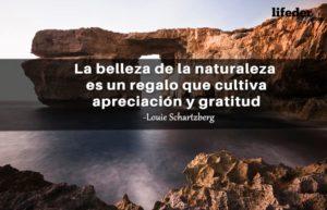 132 frases sobre la belleza