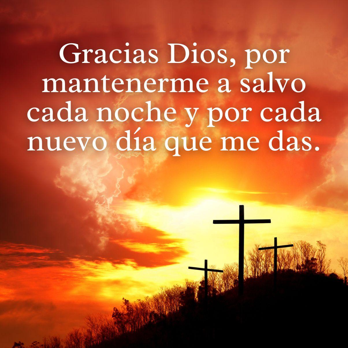 100+ Frases de Gracias Dios
