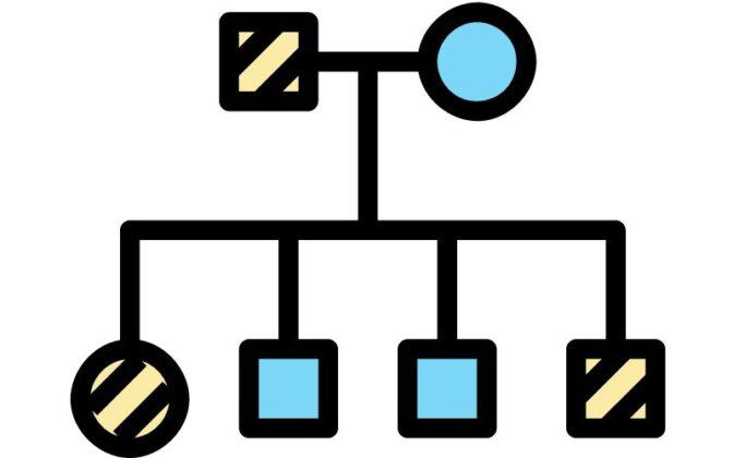 Herencia poligenética: qué es, genes complementarios y suplementarios