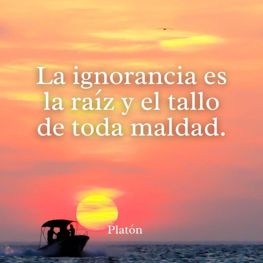 Frases de ignorancia