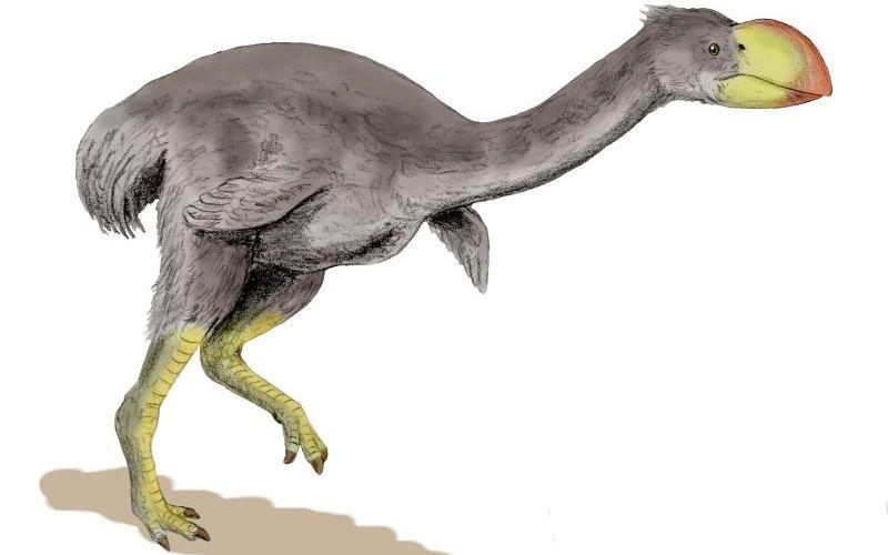 Mioceno: qué es, características, clima, flora, fauna, subdivisiones