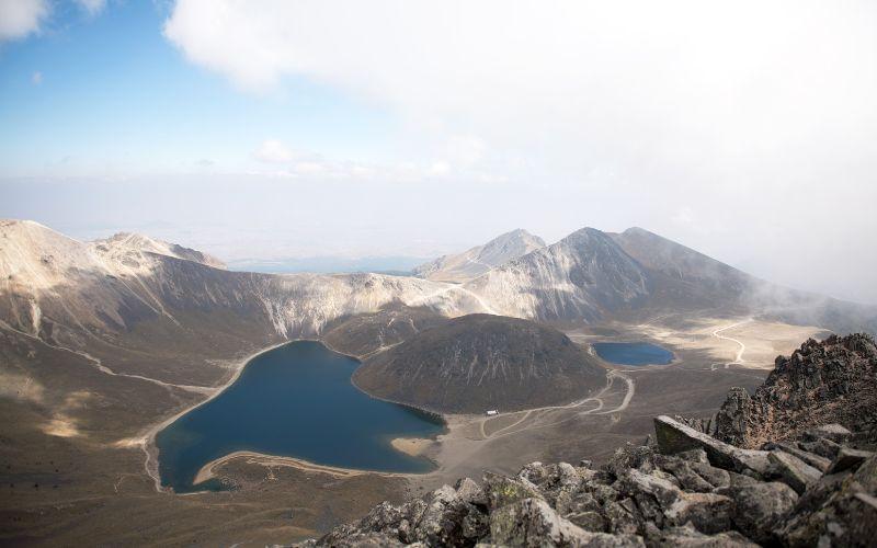 Animales Y Plantas Del Bioma De La Tundra Tundra: Flora, Fauna, Clima,