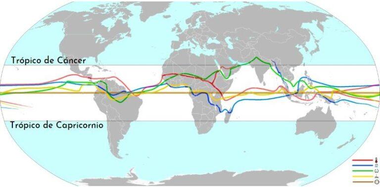 Zona intertropical: qué es, características, clima, flora y fauna