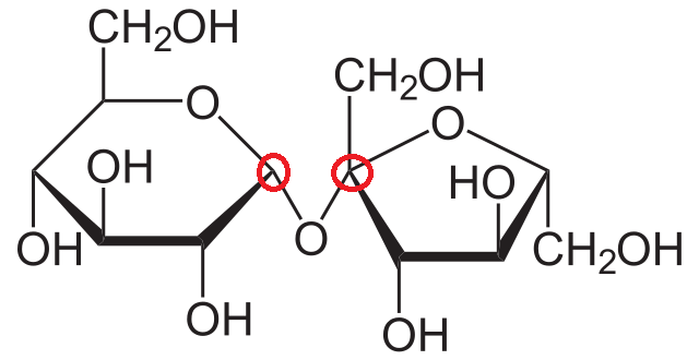 Carbono anomérico: qué es, hemiacetales, características, ejemplos