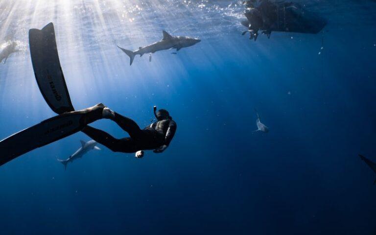Oceanografía: qué es, historia, qué estudia, ramas
