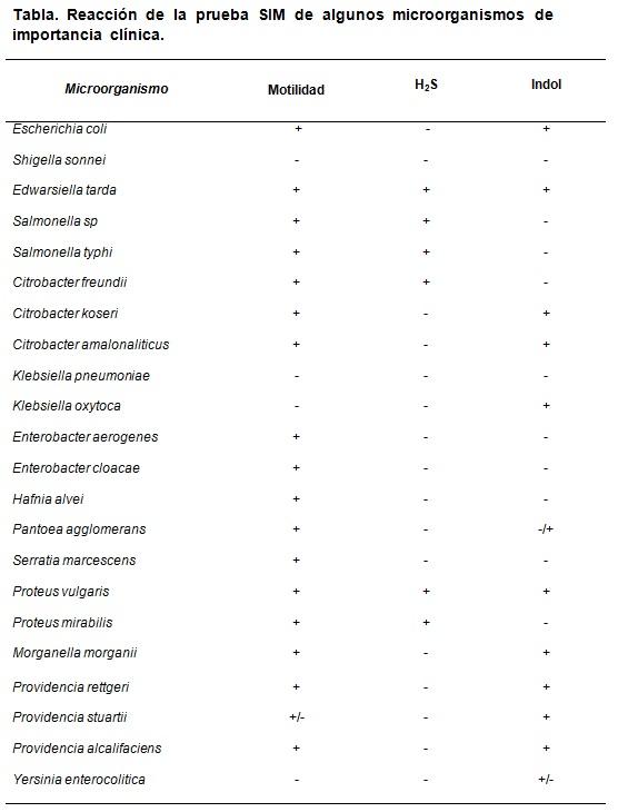 Medio SIM: qué es, fundamento, preparación y usos