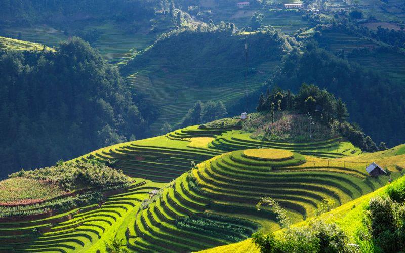 Actividades antrópicas: qué son, características, efectos