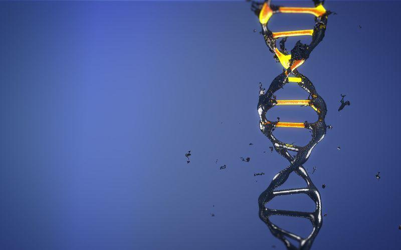 Agentes mutagénicos: qué son, cómo actúan, tipos, mutaciones