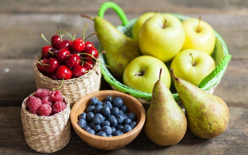 15 alimentos y productos del cllima templado 15 alimentos y productos del cllima templado