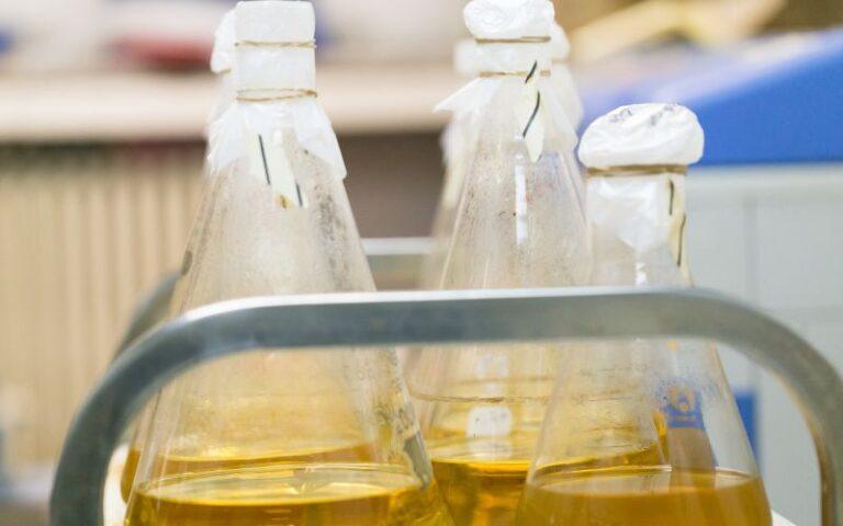 Caldo Ec Qué Es Fundamento Preparación Y Uso