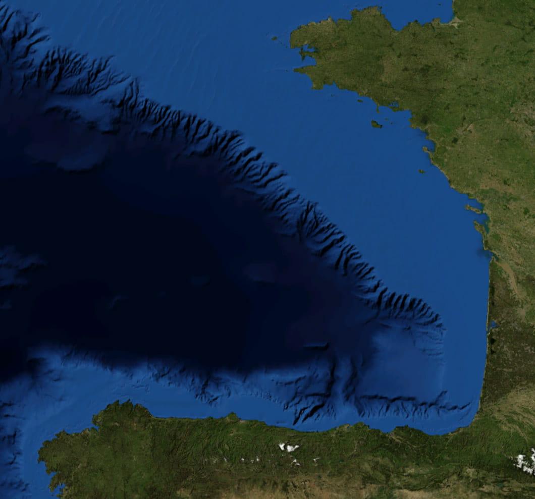 Llanura abisal: características, elementos, flora, fauna