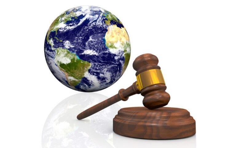 19 organizaciones que defienden los derechos humanos