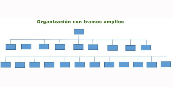 Tramo de control: qué es, tipos, factores determinantes, ejemplos