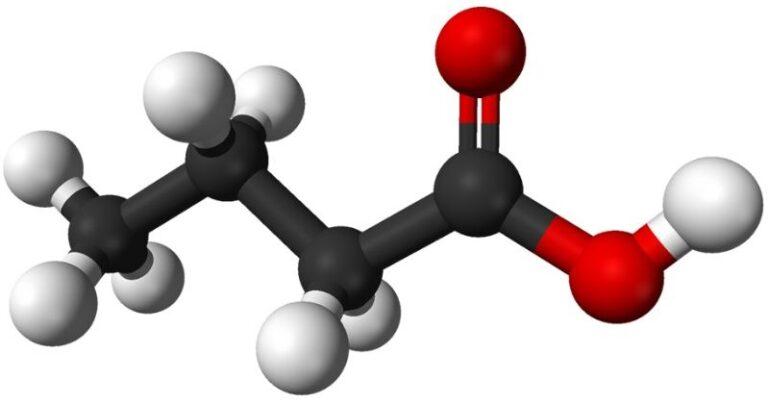 Ácido butírico: qué es, propiedades, peligros y usos
