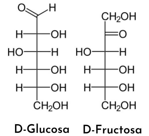 Aldohexosa: qué es, estructura molecular y ejemplos