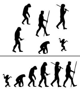 Ortogénesis: qué es, perspectiva histórica, colapso, visión moderna