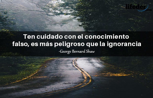 Las 127 mejores frases sobre el conocimiento