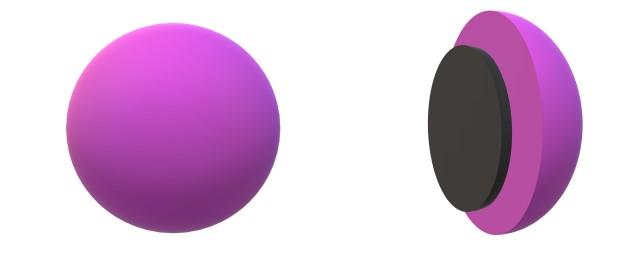 Moléculas anfipáticas: qué son, estructura, características, ejemplos