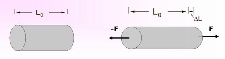 Profesor Ligdami: Modulo de Young