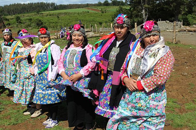 Mapuches Historia Características Costumbres Economía