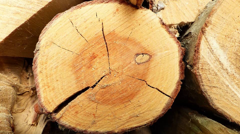 Albura: características, funciones, ejemplos