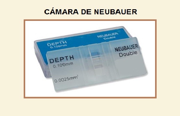 Cámara de Neubauer: historia, características, usos