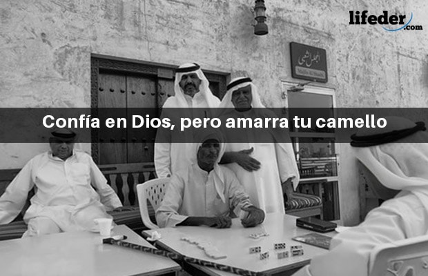 230 bonitos proverbios árabes