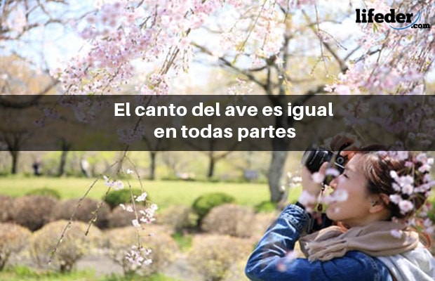 245 bonitos proverbios japoneses