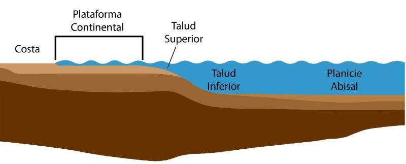 Plataforma continental: qué es, características y ejemplos