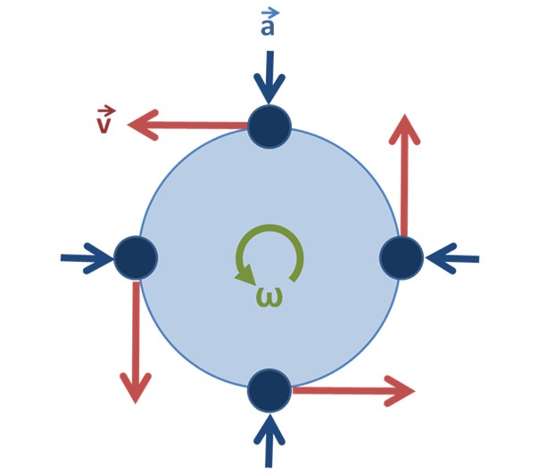 Velocidad lineal: qué es, conceptos y ejercicios resueltos