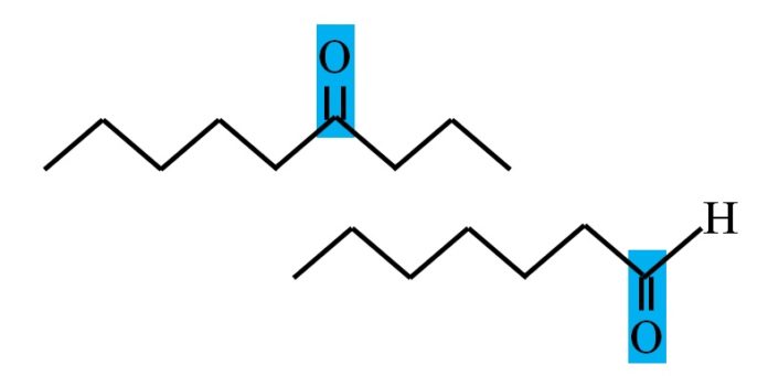 Grupo carbonilo: qué es, propiedades, tipos, reactividad, ejemplos