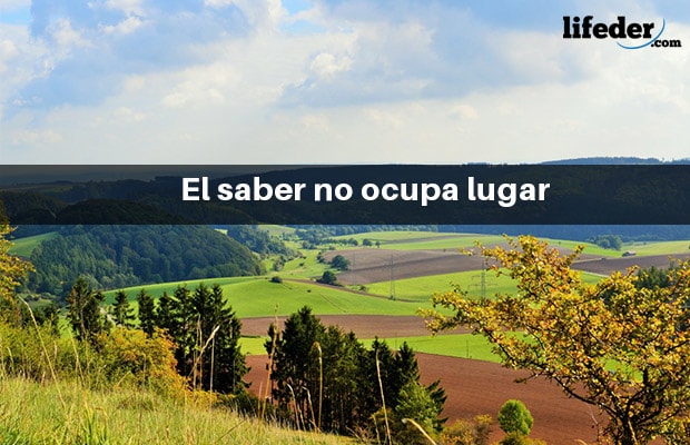 Los 200 Refranes Españoles Más Populares - Lifeder