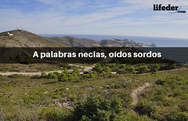 Los 200 Refranes Españoles Más Populares - Lifeder