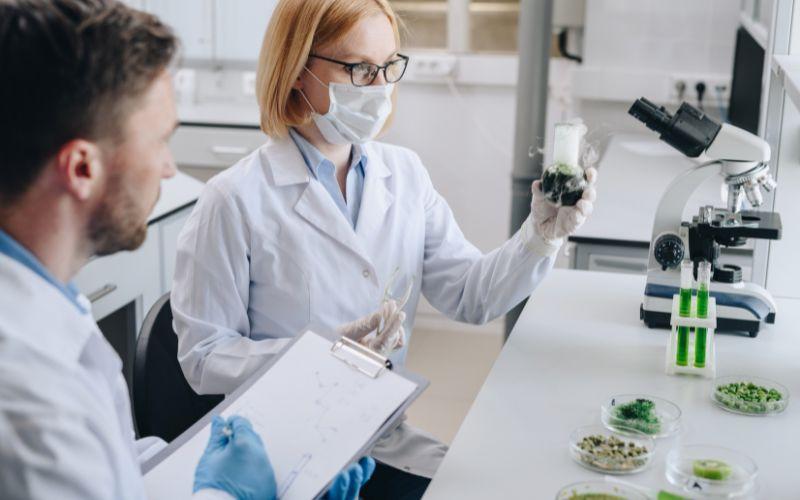 Investigación de laboratorio: qué es, qué estudia, tipos, ventajas