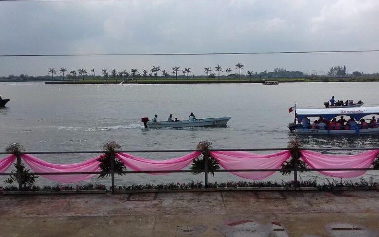 Río Papaloapan; qué es, flora, fauna, historia e importancia