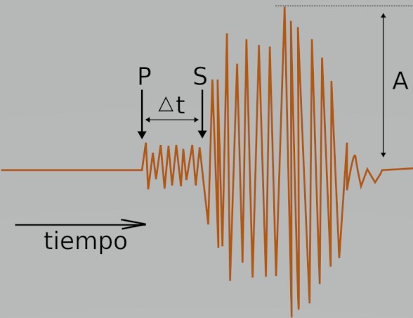 Ondas longitudinales: qué son, cómo se manifiestan, diferencias, ejemplos