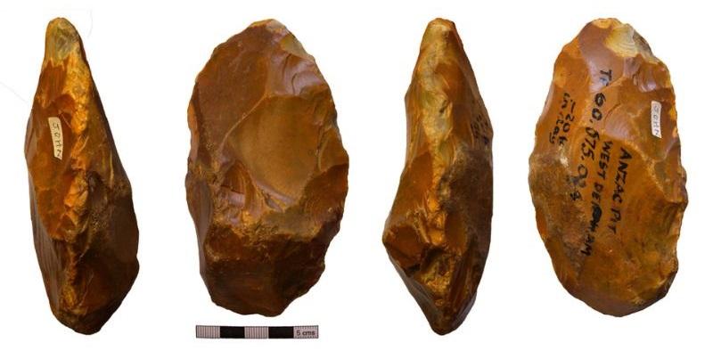 Paleolítico inferior: qué es, características, herramientas, arte