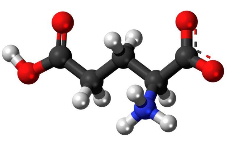Ácido glutámico: qué es, características, funciones, biosíntesis