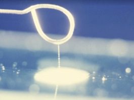 Asa bacteriológica: características, tipos, usos