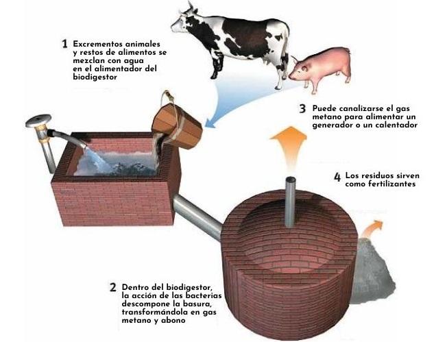 Biodigestor Qué Es Para Qué Sirve Tipos Ventajas Y Desventajas