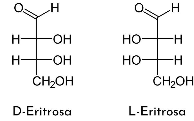 Eritrosa: qué es, estructura, características y funciones