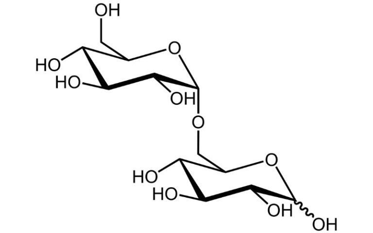 Isomaltosa: qué es, características, estructura, funciones, aplicaciones