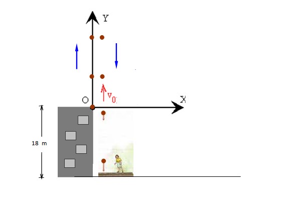 Tiro vertical: què es, fòrmulas, ecuaciones y ejemplos resueltos
