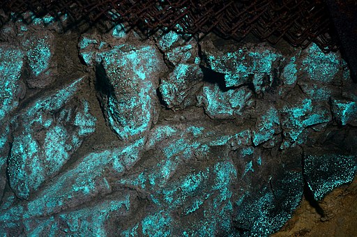 Martin Heinrich Klaproth: quién fue, biografía, aportes, obras