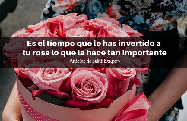 Las 110 mejores frases sobre las rosas (muy románticas)